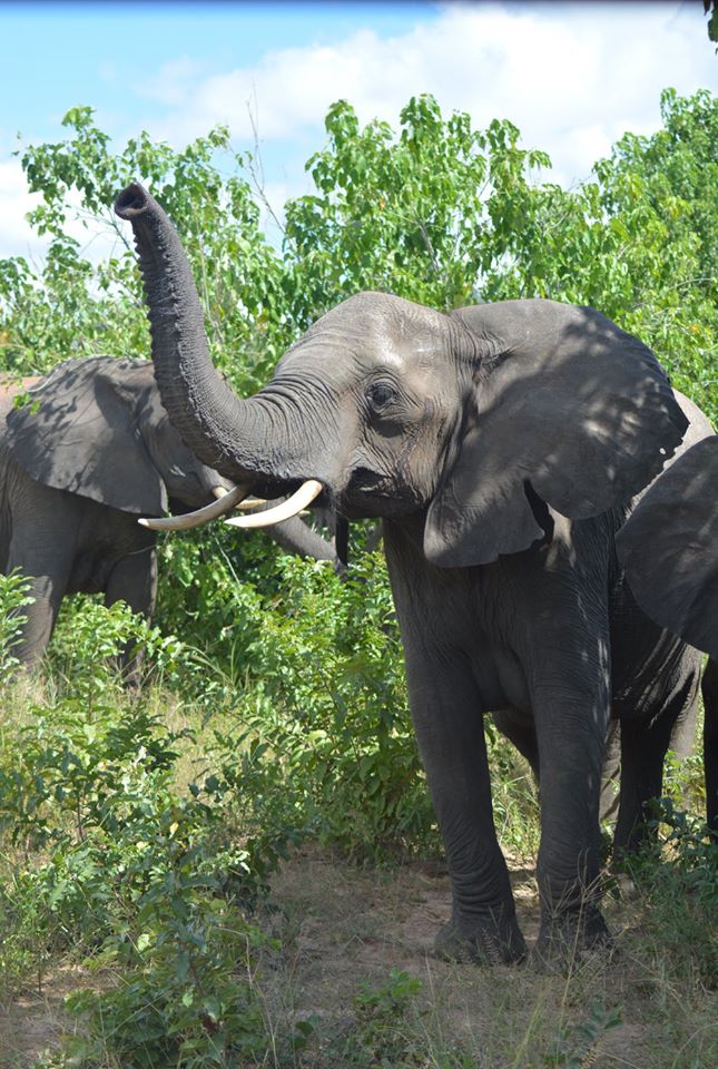 Kristen’s Bucket List Trip Pt. 3 – Visit a Natural Wonder of the World ...